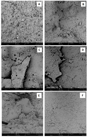 Development of Geopolymer-Based Materials with Ceramic Waste for ...