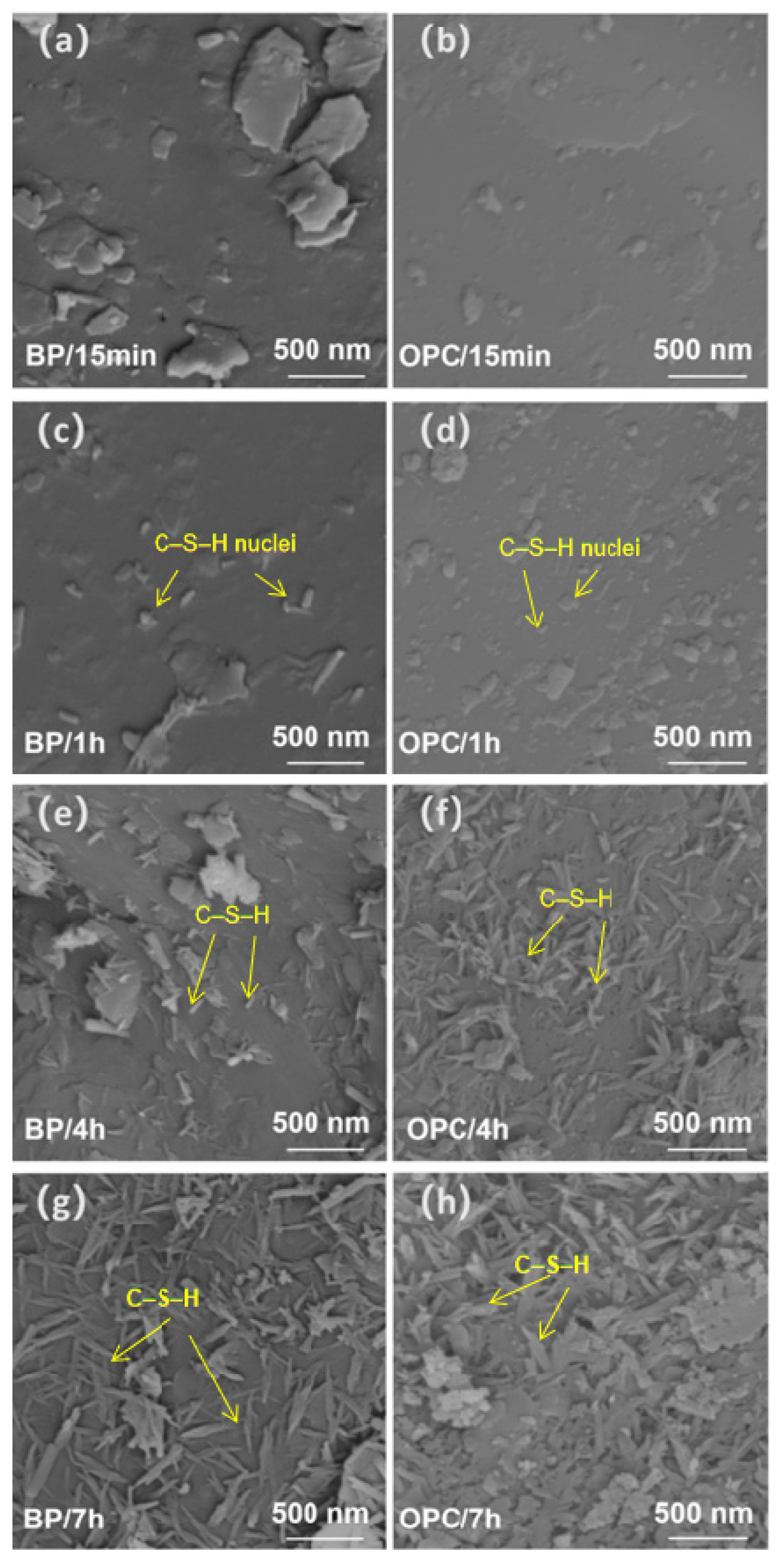 Effect of Basalt Powder on Hydration, Rheology, and Strength ...