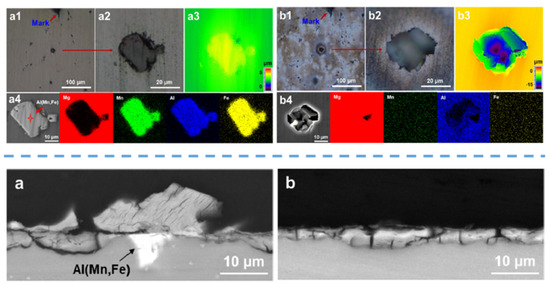 Materials | Free Full-Text | Chromate-Free Corrosion Protection Strategies for Magnesium Alloys ...