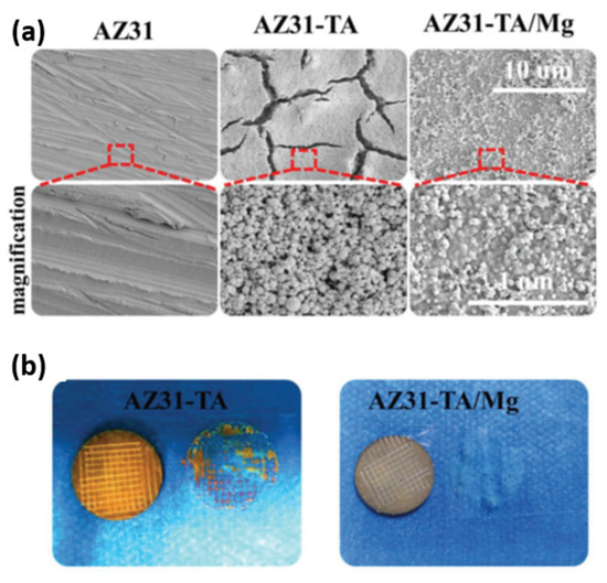 Materials | Free Full-Text | Chromate-Free Corrosion Protection Strategies for Magnesium Alloys ...