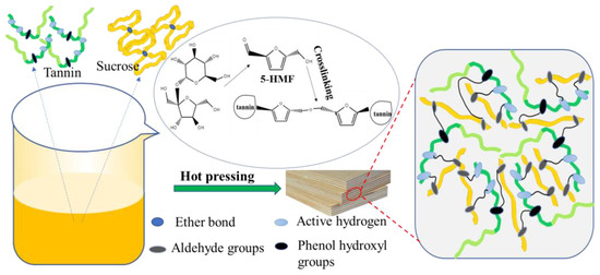 Fully Bio-Based Adhesive from Tannin and Sucrose for Plywood ...