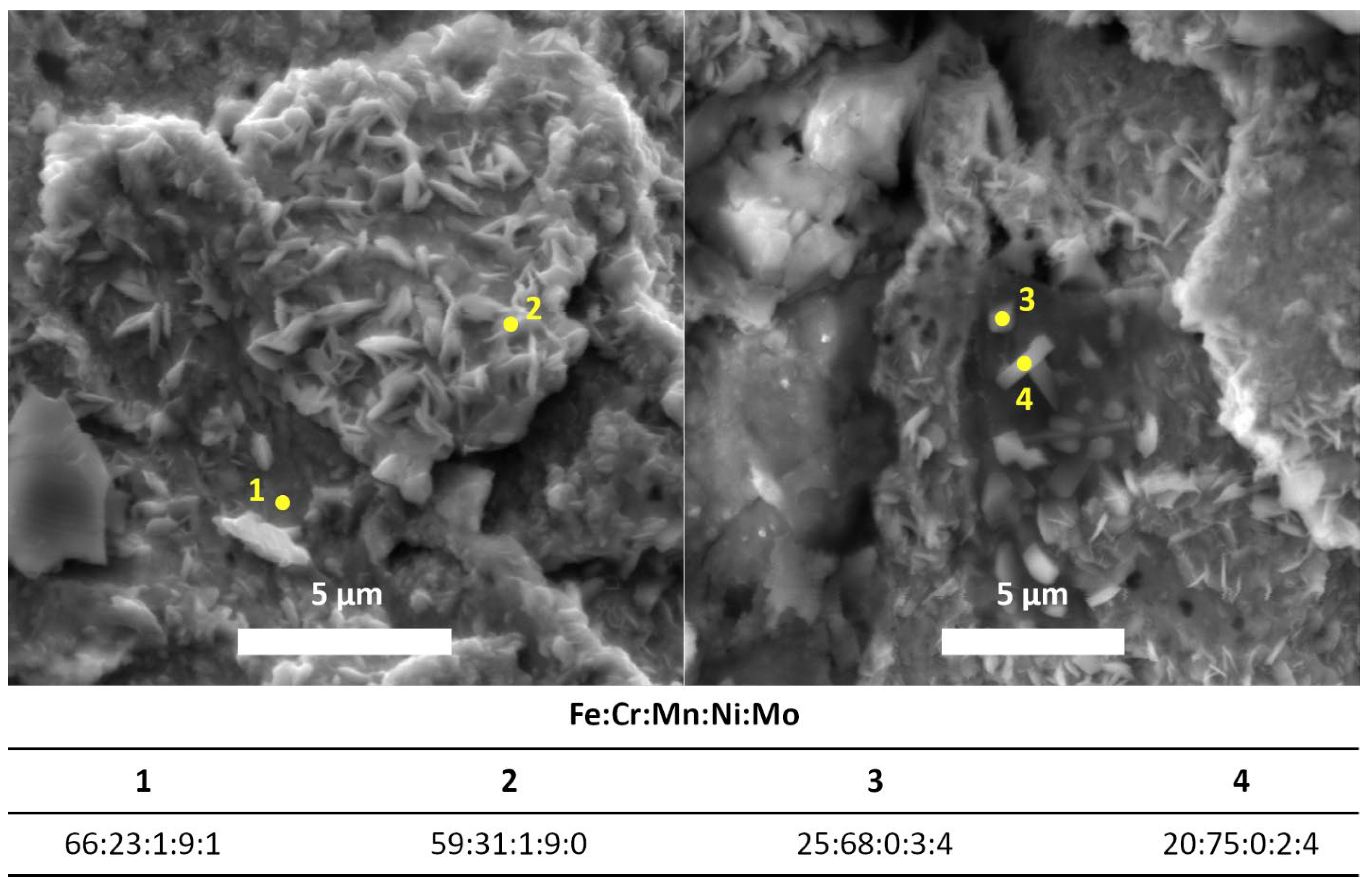 Phase Changes in the Surface Layer of Stainless Steel Annealed at a ...