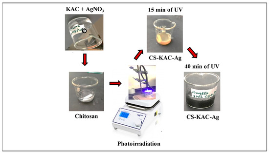 Lignocellulosic-Based Activated Carbon-Loaded Silver Nanoparticles and ...