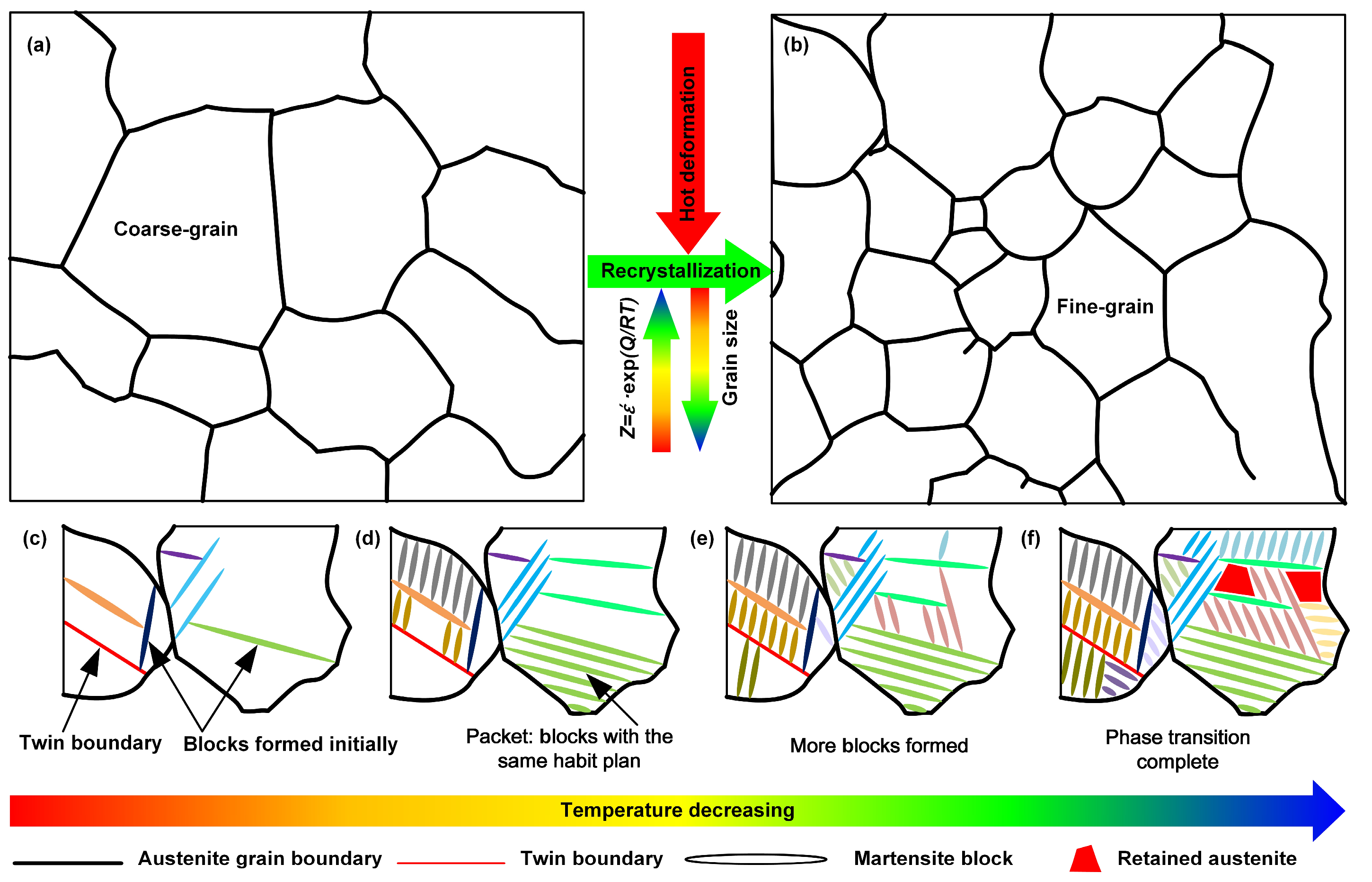 Effect of Hot Deformation Parameters on Heat-Treated Microstructures and Mechanical Properties ...