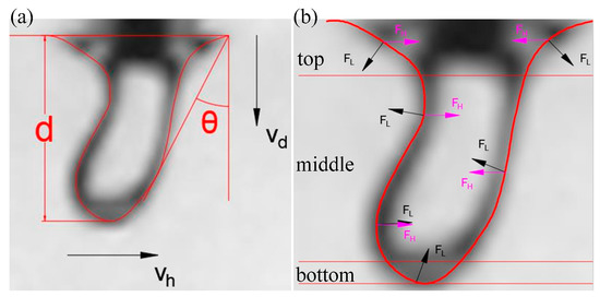 Materials | Free Full-Text | Comparative Study on the Behavior of ...