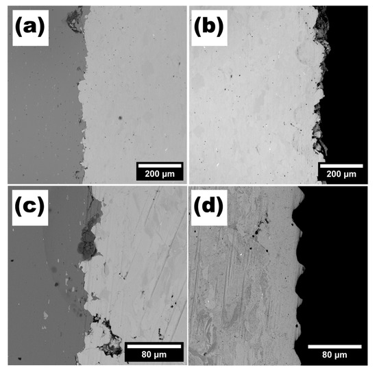 Properties of Cold Sprayed Titanium and Titanium Alloy Coatings after ...