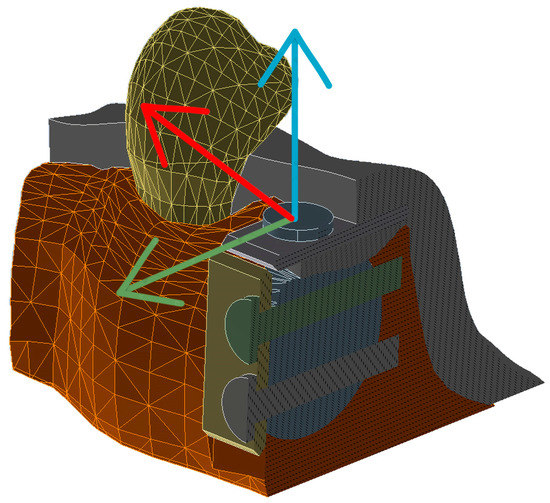 A Biomechanical Analysis of the Influence of the Morfology of the Bone ...