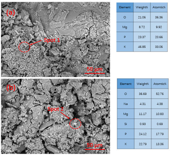 Effect of Modified Magnesium Oxide on the Properties of Magnesium Phosphate Cement under a ...
