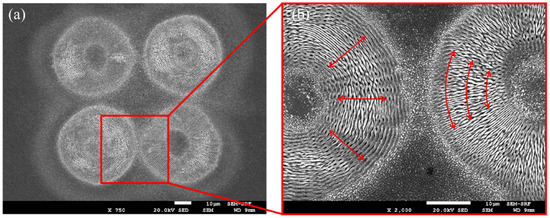 Pulse Burst Generation and Diffraction with Spatial Light Modulators for Dynamic Ultrafast Laser ...