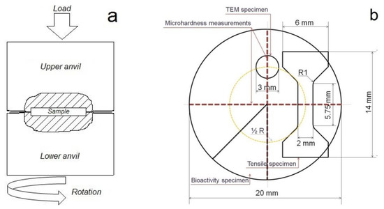 Materials | Free Full-Text | Structure, Biodegradation, and In Vitro ...