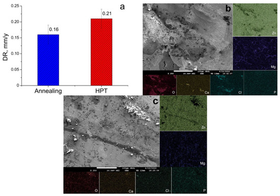 Materials | Free Full-Text | Structure, Biodegradation, and In Vitro Bioactivity of Zn–1%Mg ...