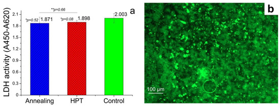 Materials | Free Full-Text | Structure, Biodegradation, and In Vitro Bioactivity of Zn–1%Mg ...