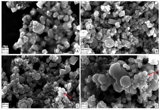 Iron Oxide Nanoparticles: A Review on the Province of Its Compounds ...