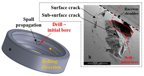 Experimental Investigation of the Spall Propagation Mechanism in ...