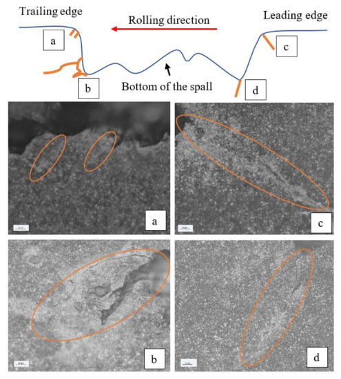 Experimental Investigation of the Spall Propagation Mechanism in ...