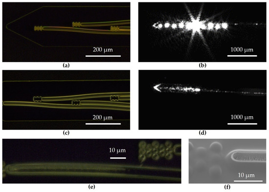 On the Fabrication and Characterization of Polymer-Based Waveguide ...