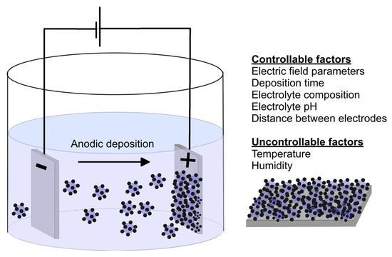 Advances in Multifunctional Bioactive Coatings for Metallic Bone Implants