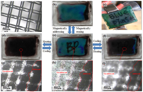 Research Progress on Blue-Phase Liquid Crystals for Pattern Replication ...