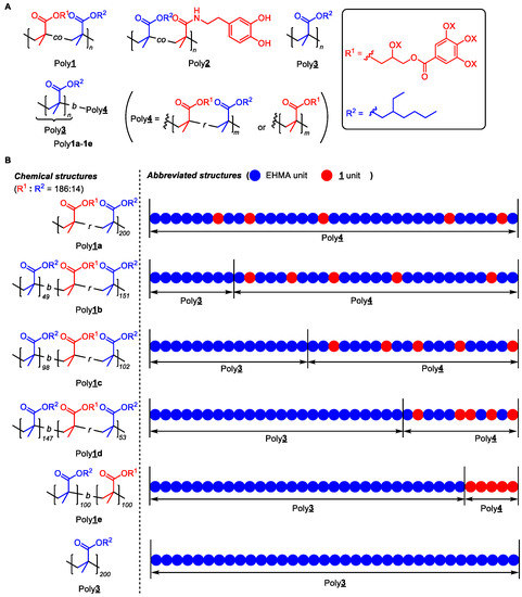 Forced Gradient Copolymer for Rational Design of Mussel-Inspired ...