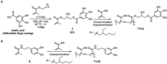 Forced Gradient Copolymer for Rational Design of Mussel-Inspired ...