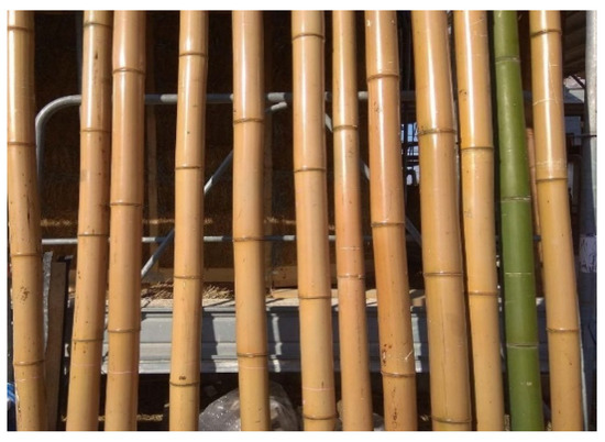 Photodegradation of Bamboo: A Study on Changes in Mechanical Performances