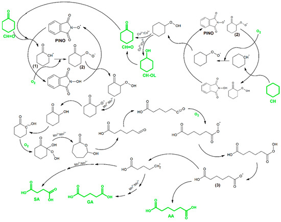 Oxidation of Cyclohexane/Cyclohexanone Mixture with Oxygen as Alternative Method of Adipic Acid ...