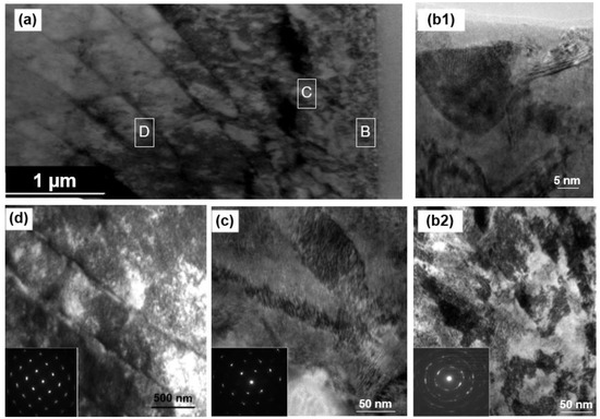 Microstructure Evolution and Formation of Gradient Structures in Single ...