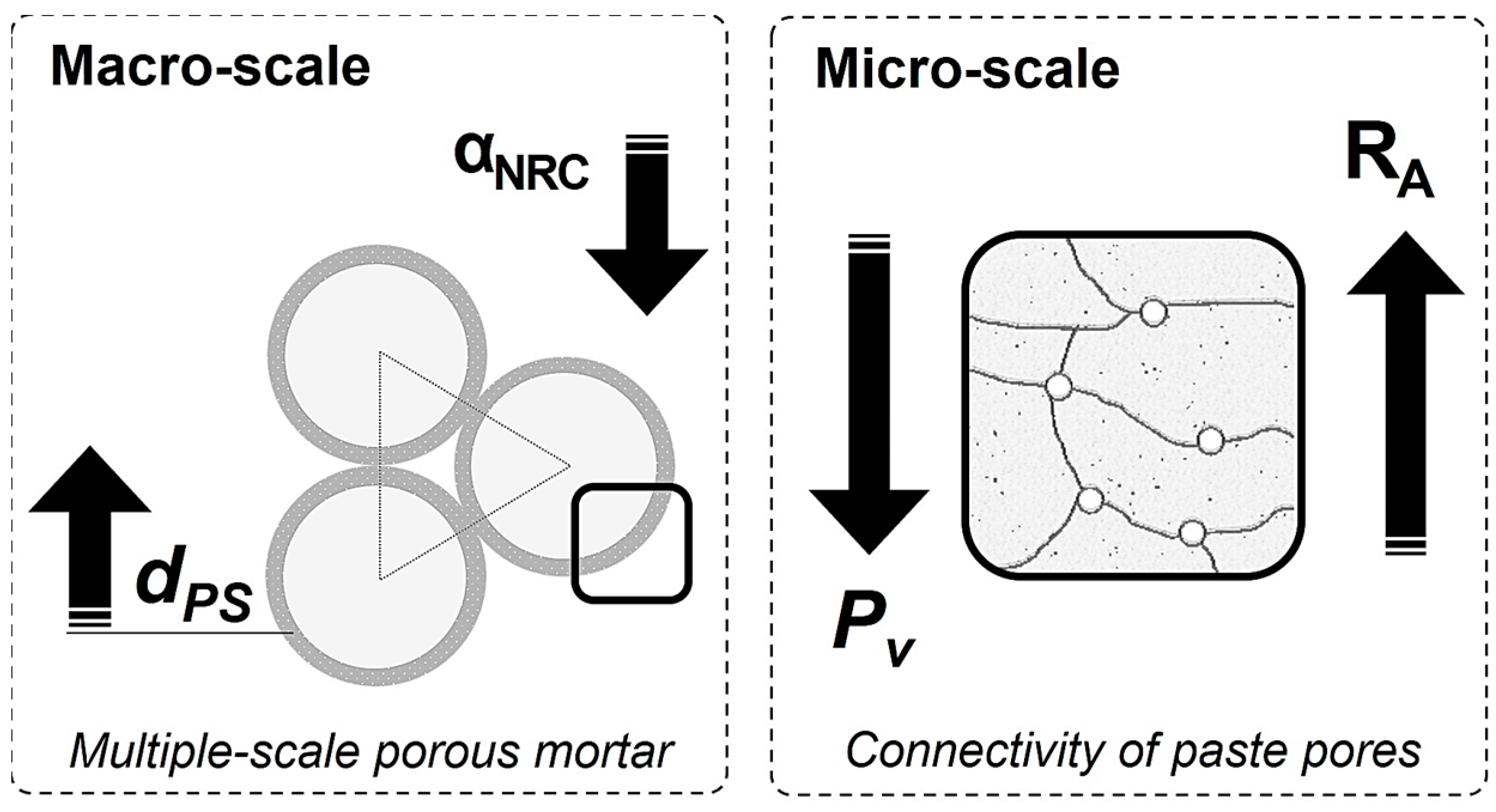 Acoustic Assessment of Multiscale Porous Lime-Cement Mortars