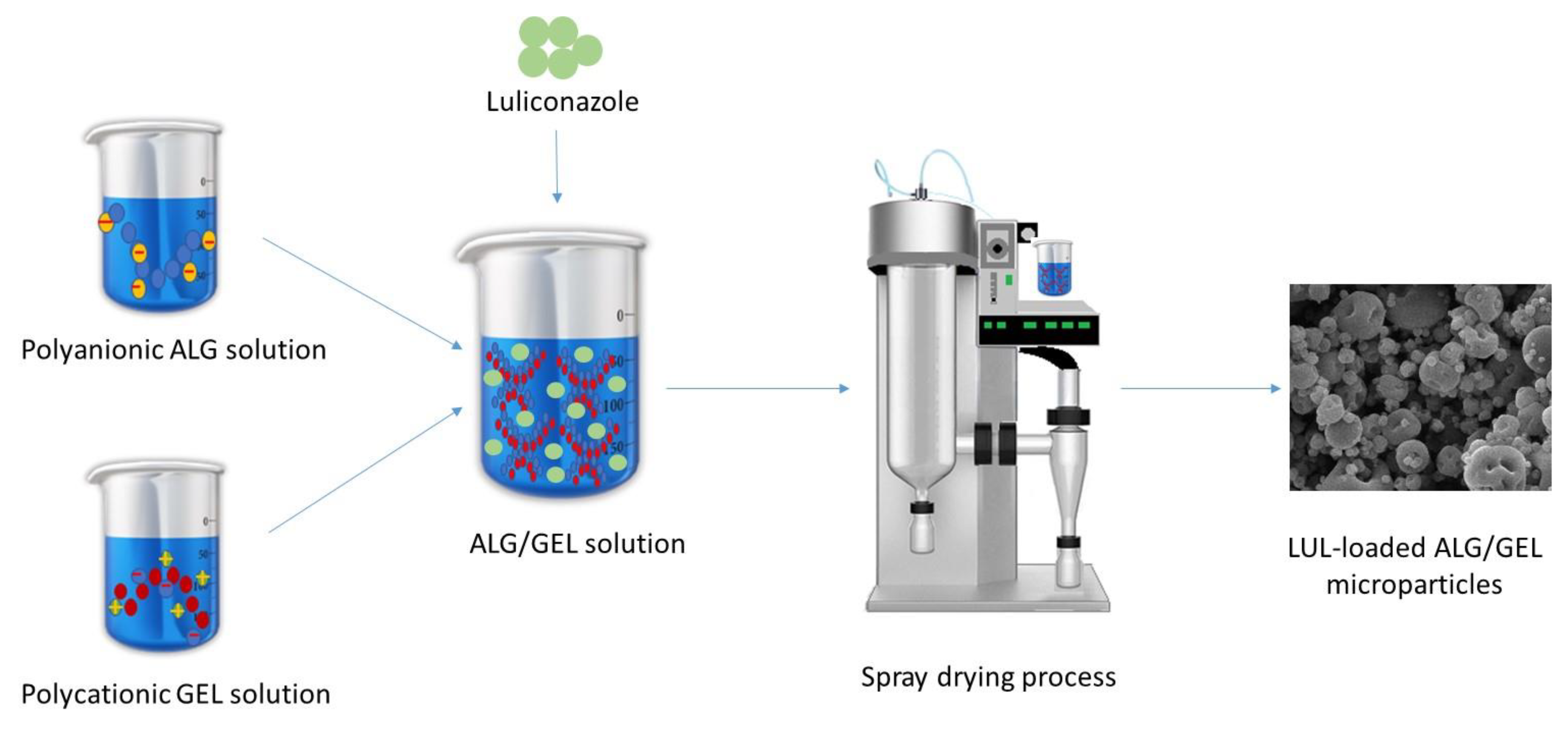 The Spray-Dried Alginate/Gelatin Microparticles with Luliconazole as ...