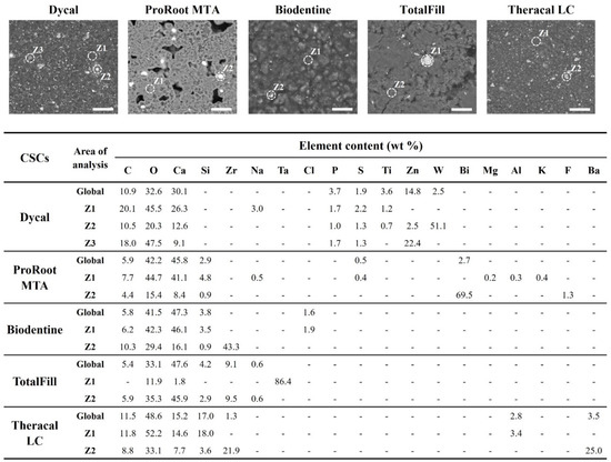 Fast-Setting Calcium Silicate-Based Pulp Capping Cements—Integrated ...