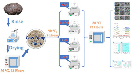 Characteristics and Functional Application of Cellulose Fibers ...