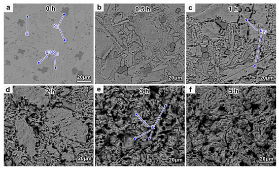 Understanding the Corrosion Behavior of Nickel–Aluminum Bronze Induced ...