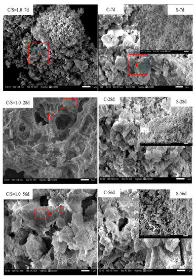 Effect of Different Initial CaO/SiO2 Molar Ratios and Curing Times on ...