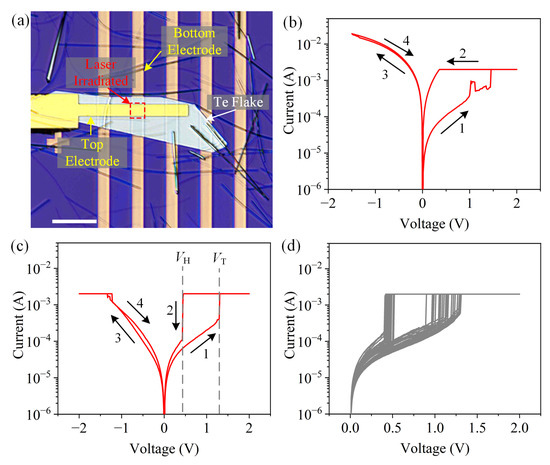 Direct Laser Irradiation and Modification of 2D Te for Development of ...