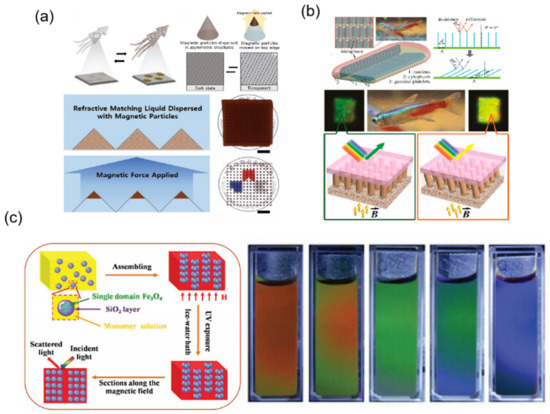 Review on Mechanoresponsive Smart Windows: Structures and Driving Modes