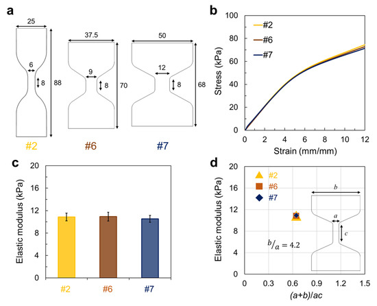 Specimen Geometry Effect on Experimental Tensile Mechanical Properties ...