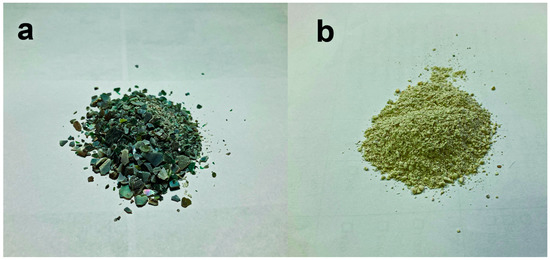 Micro/Nano Structural Investigation and Characterization of Mussel ...
