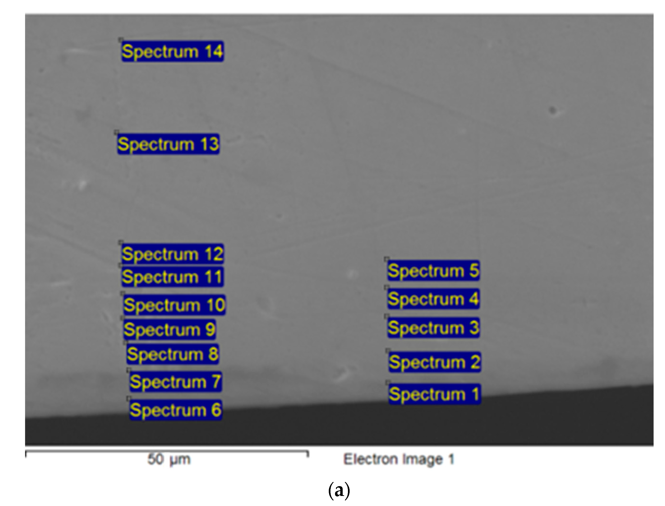 Peculiarities Of Fe And Ni Diffusion In Polycrystalline Cu