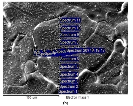 Peculiarities of Fe and Ni Diffusion in Polycrystalline Cu