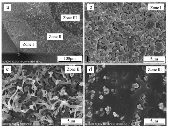 Development of Strong and Tough β-TCP/PCL Composite Scaffolds with ...