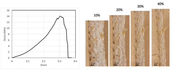 Superior Damage Tolerance of Fish Skins