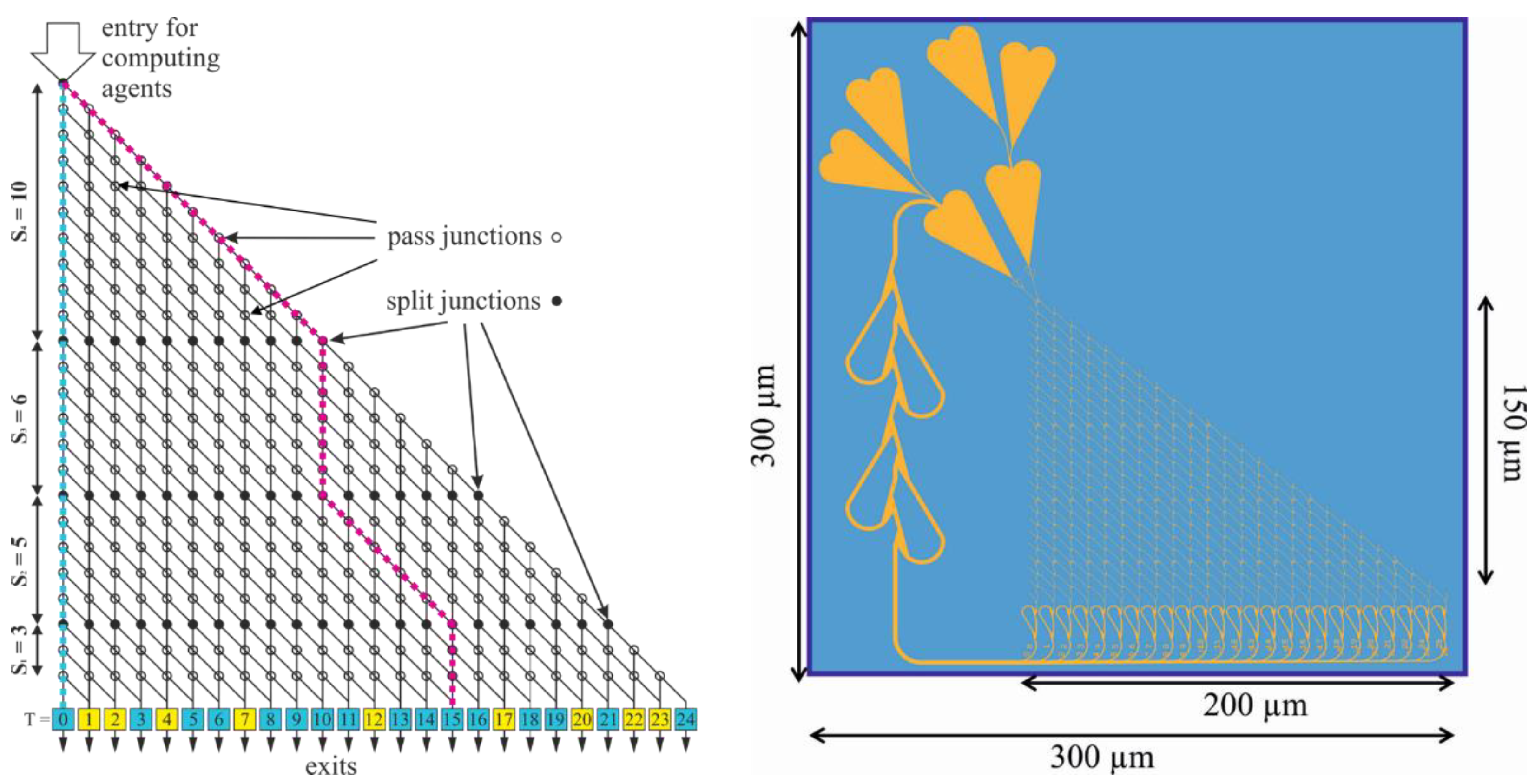 Nanolithographic Fabrication Technologies for Network-Based Biocomputation Devices