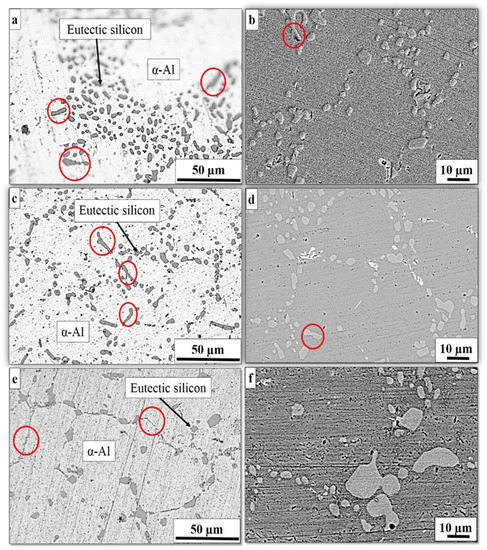 Effect of Semisolid and Heat Treatment Process on Microstructural ...
