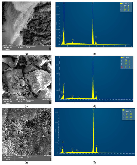 The Visible-Light-Driven Activity of Biochar-Doped TiO2 Photocatalysts ...