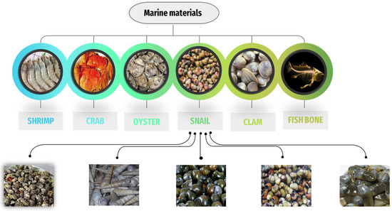 A Critical Review of Snail Shell Material Modification for Applications ...