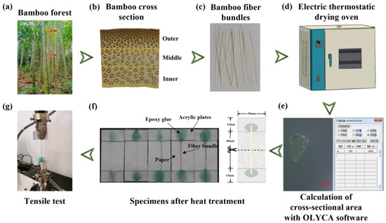 Effects of Thermal Treatment on the Mechanical Properties of Bamboo ...
