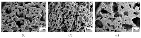 Fabrication of SiC Porous Ceramics by Foaming Method