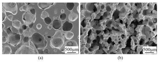Fabrication of SiC Porous Ceramics by Foaming Method