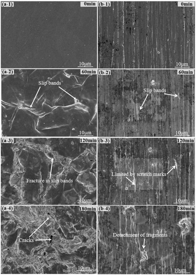 Effect of Initial Surface Scratches on the Cavitation Erosion Behavior ...