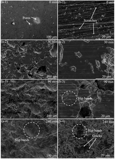 Effect of Initial Surface Scratches on the Cavitation Erosion Behavior ...